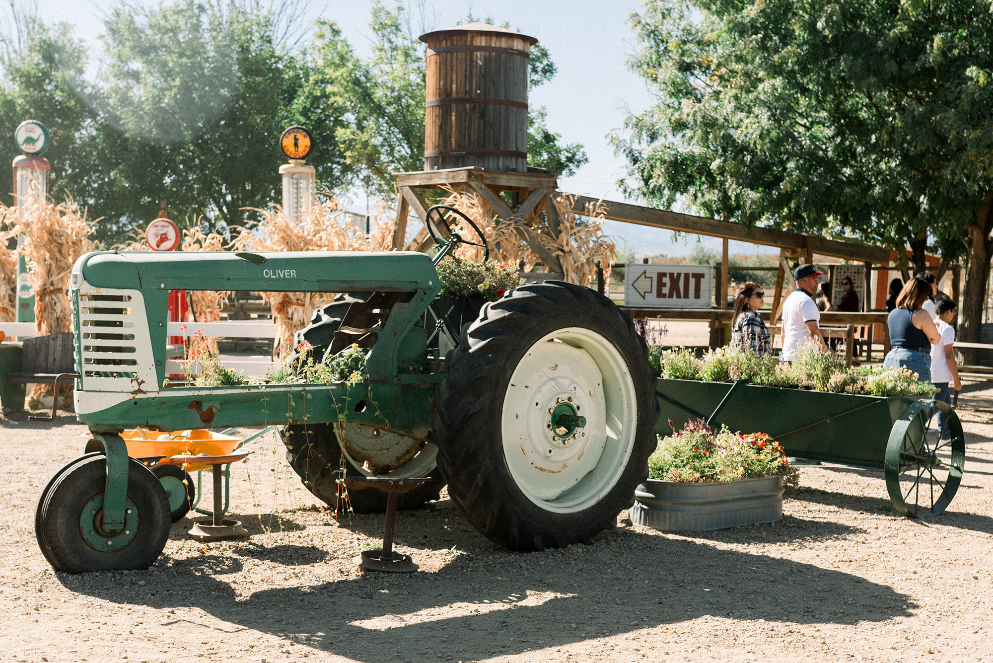 Harvest Festivals, Pumpkin Patches, and Corn Mazes in Northern Colorado ...