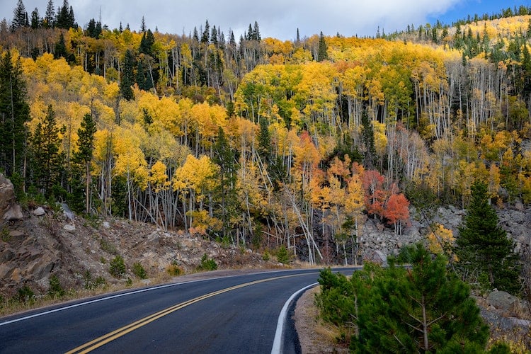 Where to See Golden Aspens in Northern Colorado This Fall | Scenic ...