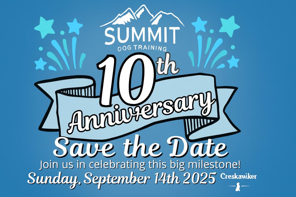 What to Do This Weekend in NoCo: September 12th-14th - The NoCo Voice