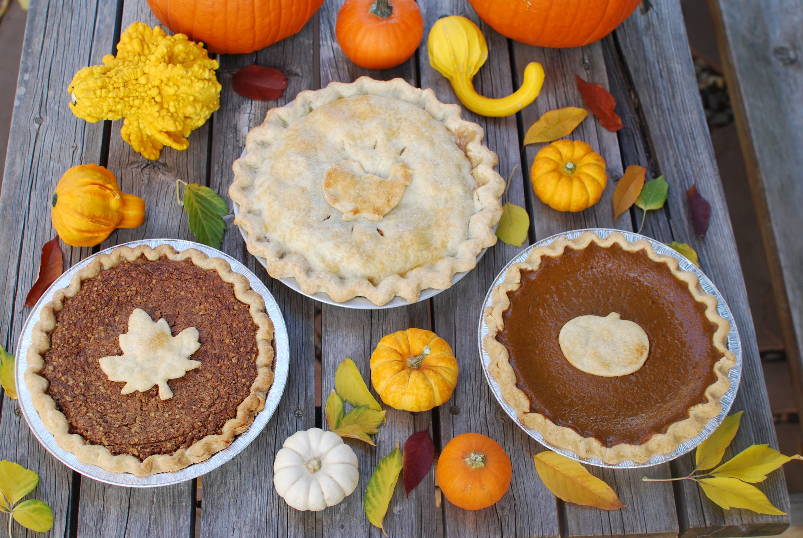 NoCo’s 10 Best Pie Shops & Bakeries for Thanksgiving Desserts - The ...